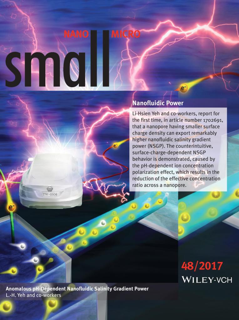 Journal Covers – Microfludic and Nanofluidic Devices Lab.